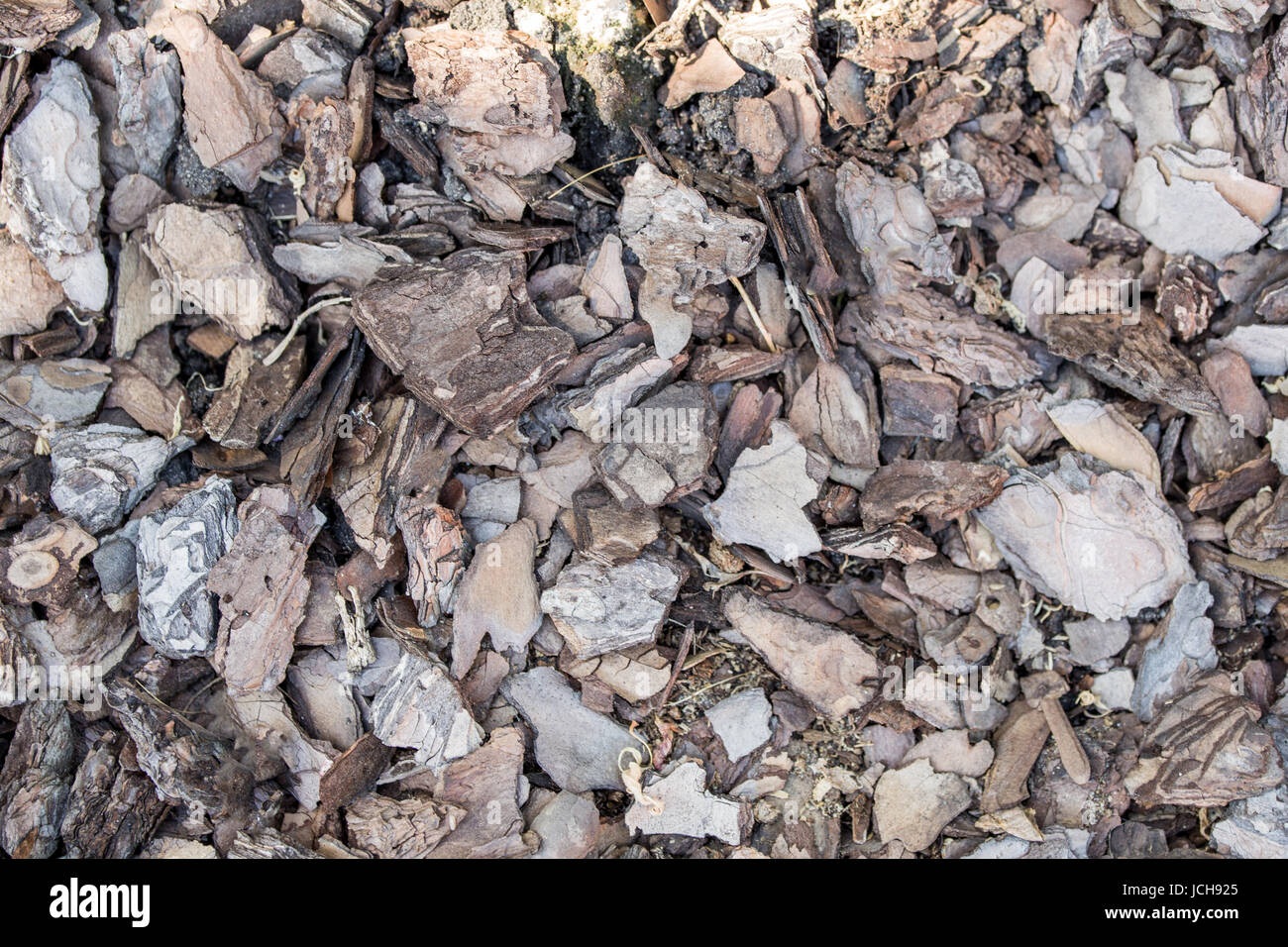 Crushed tree bark dark texture background. Shredded tree bark for ...