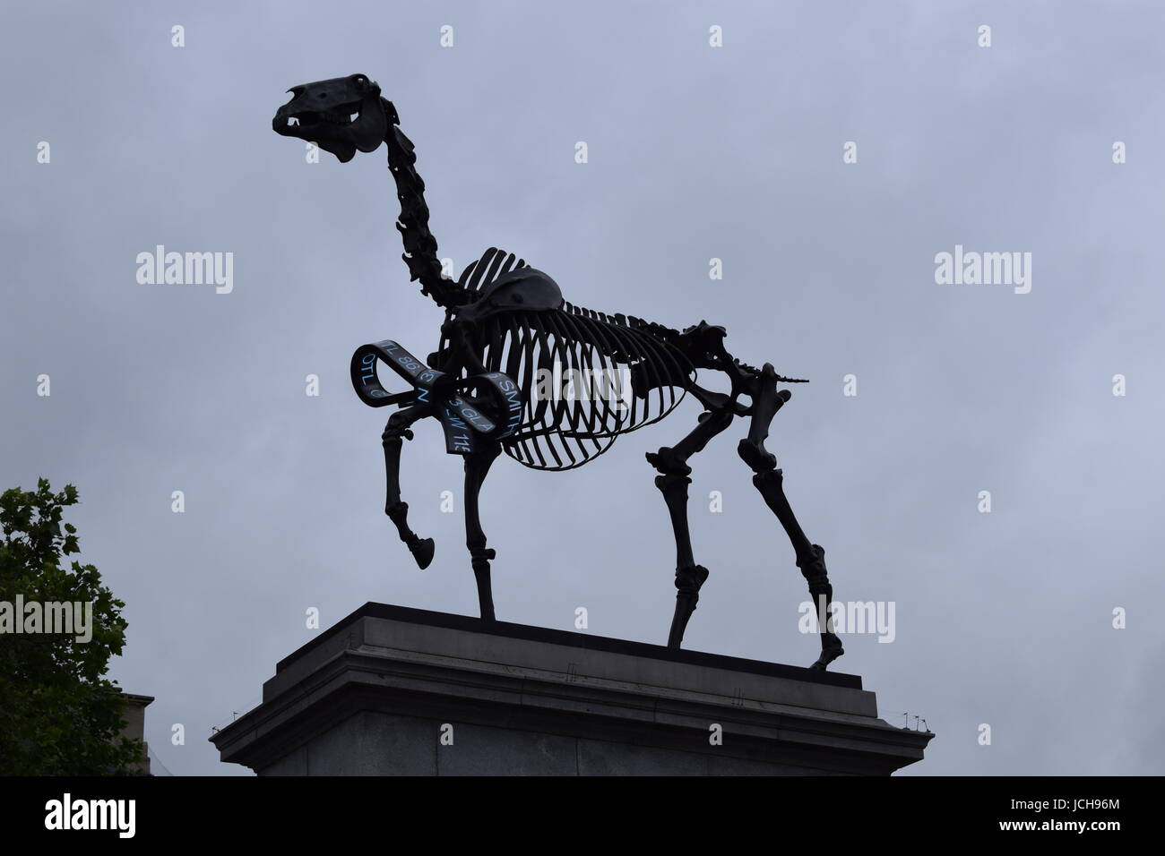 Skeleton feet shoes hi-res stock photography and images - Alamy