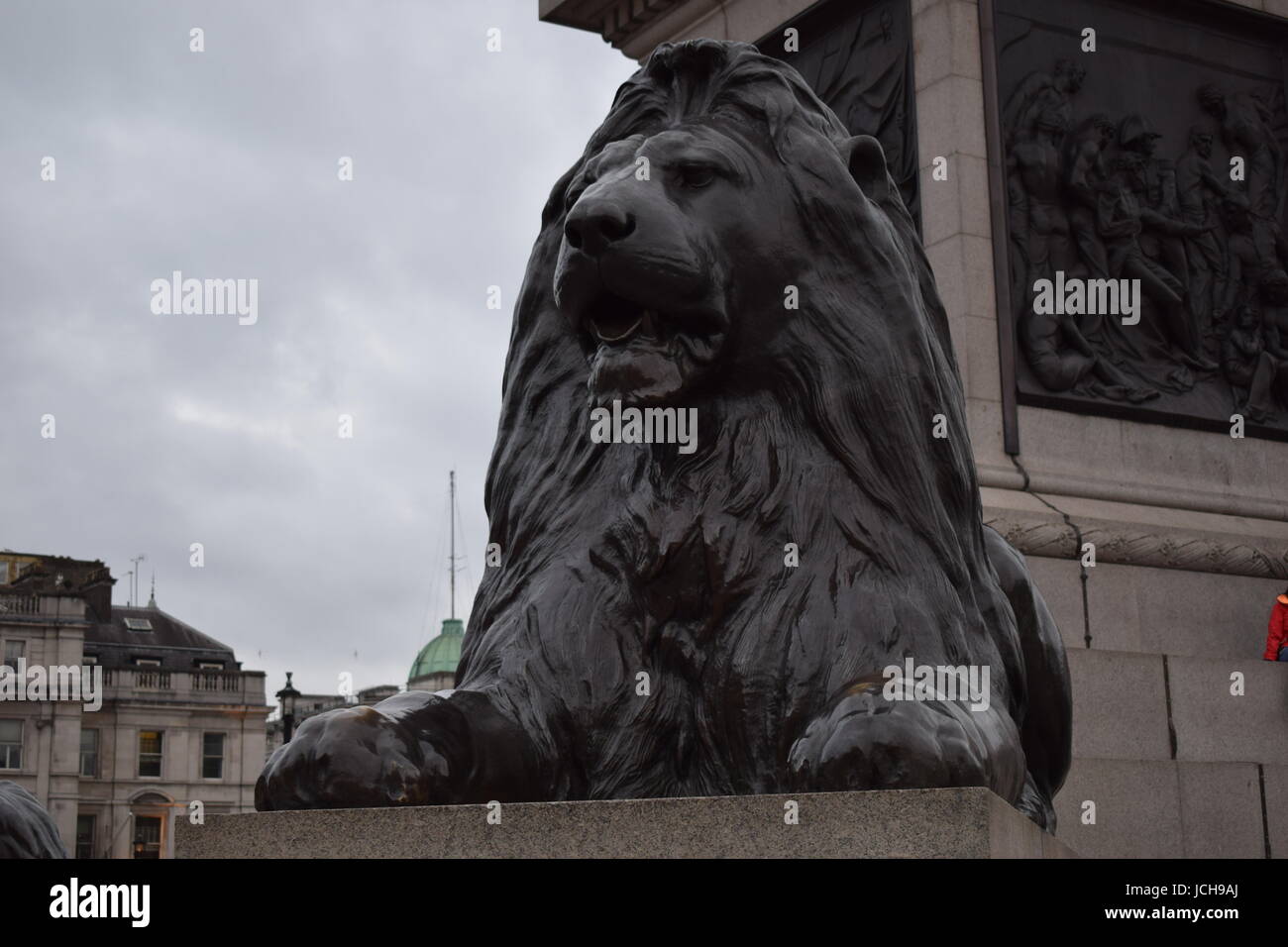 Skeleton feet shoes hi-res stock photography and images - Alamy