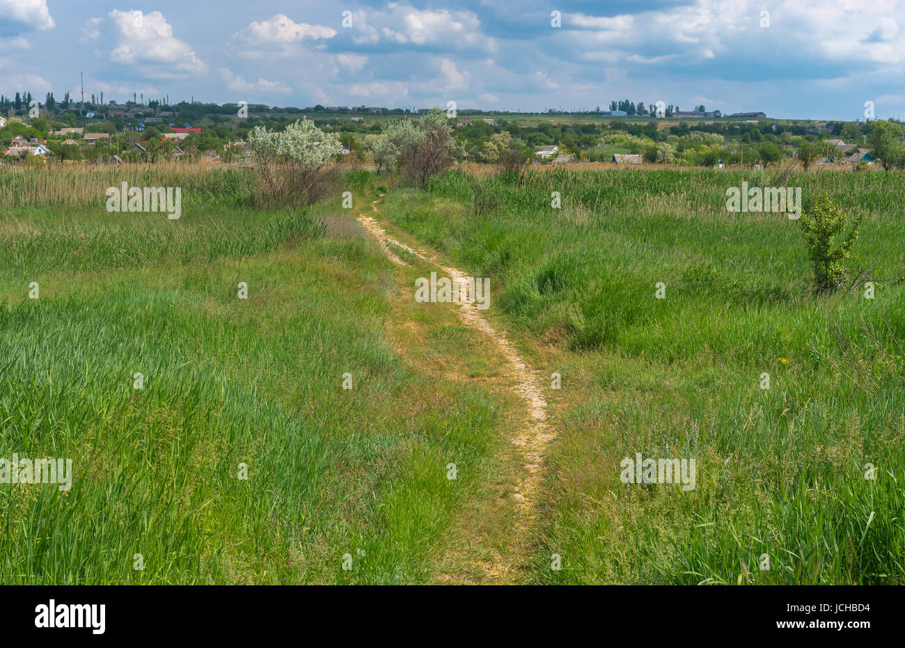 Summer landscape with pedestrian path to remote houses in Ukrainian ...