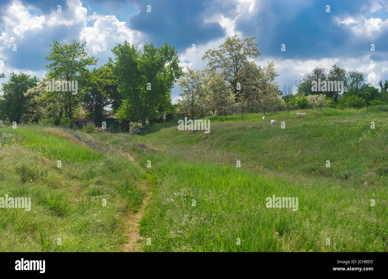 Pictorial landscape with pedestrian path to remote house in Ukrainian ...