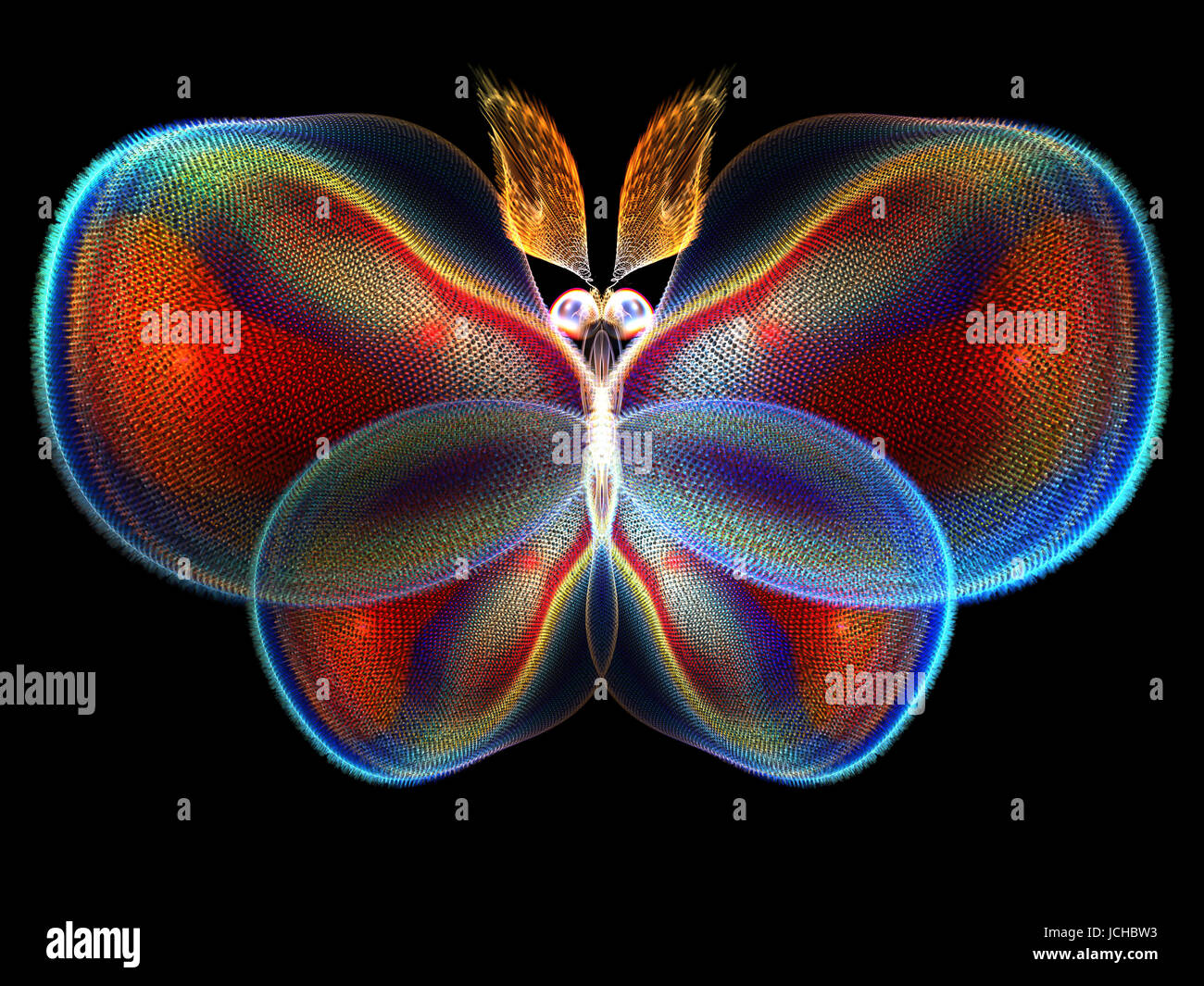 Never Were Butterflies series. Composition of isolated butterfly ...
