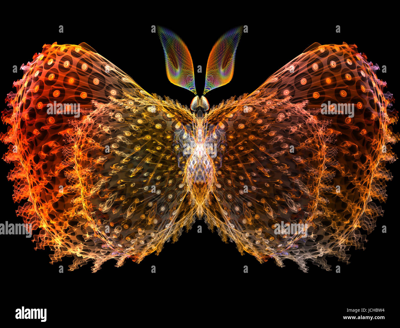 Never Were Butterflies series. Composition of isolated butterfly ...