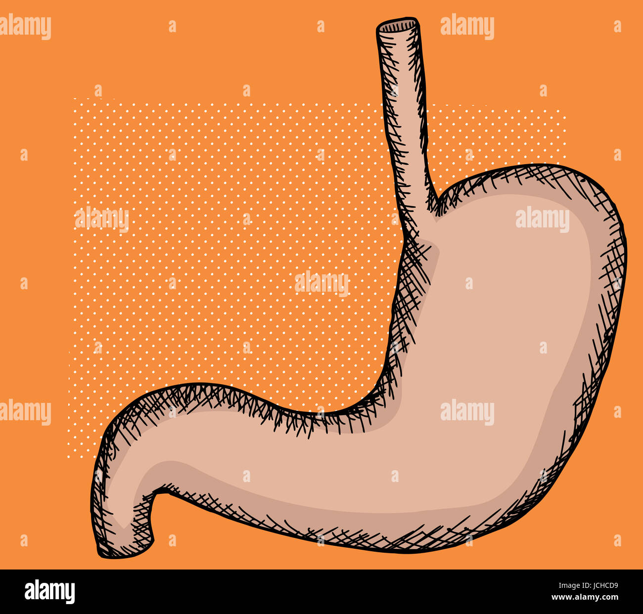 Single human stomach organ cartoon over halftone Stock Photo - Alamy
