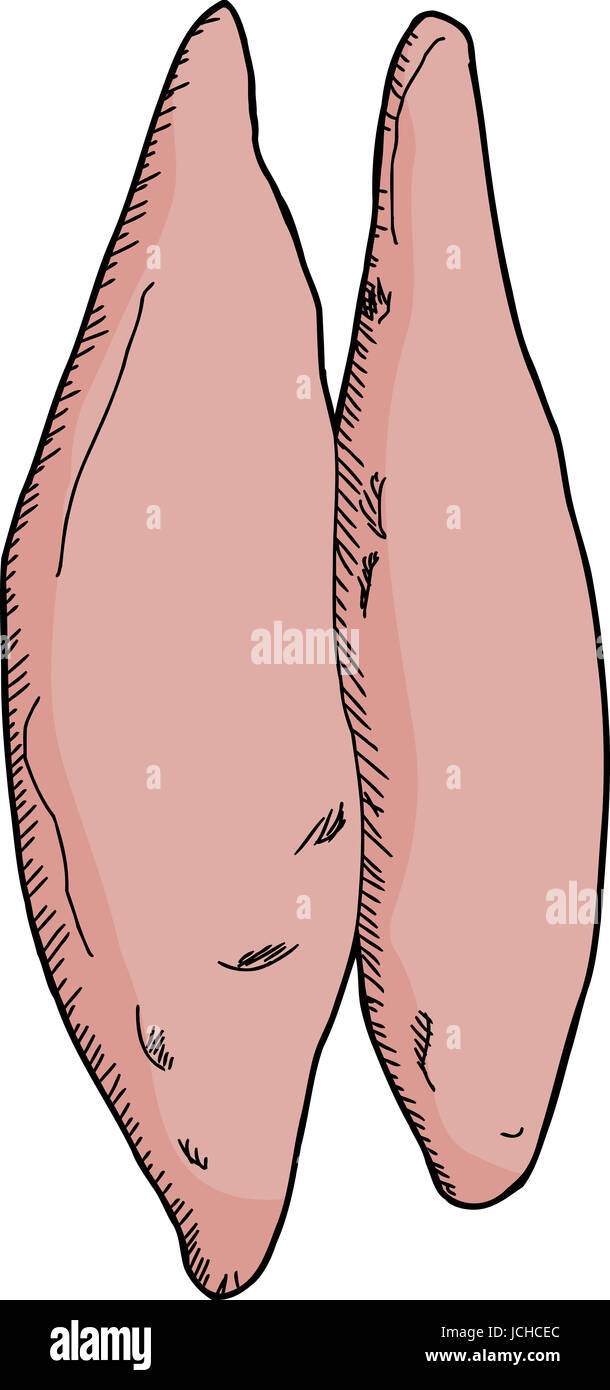 Thymus gland hi-res stock photography and images - Alamy