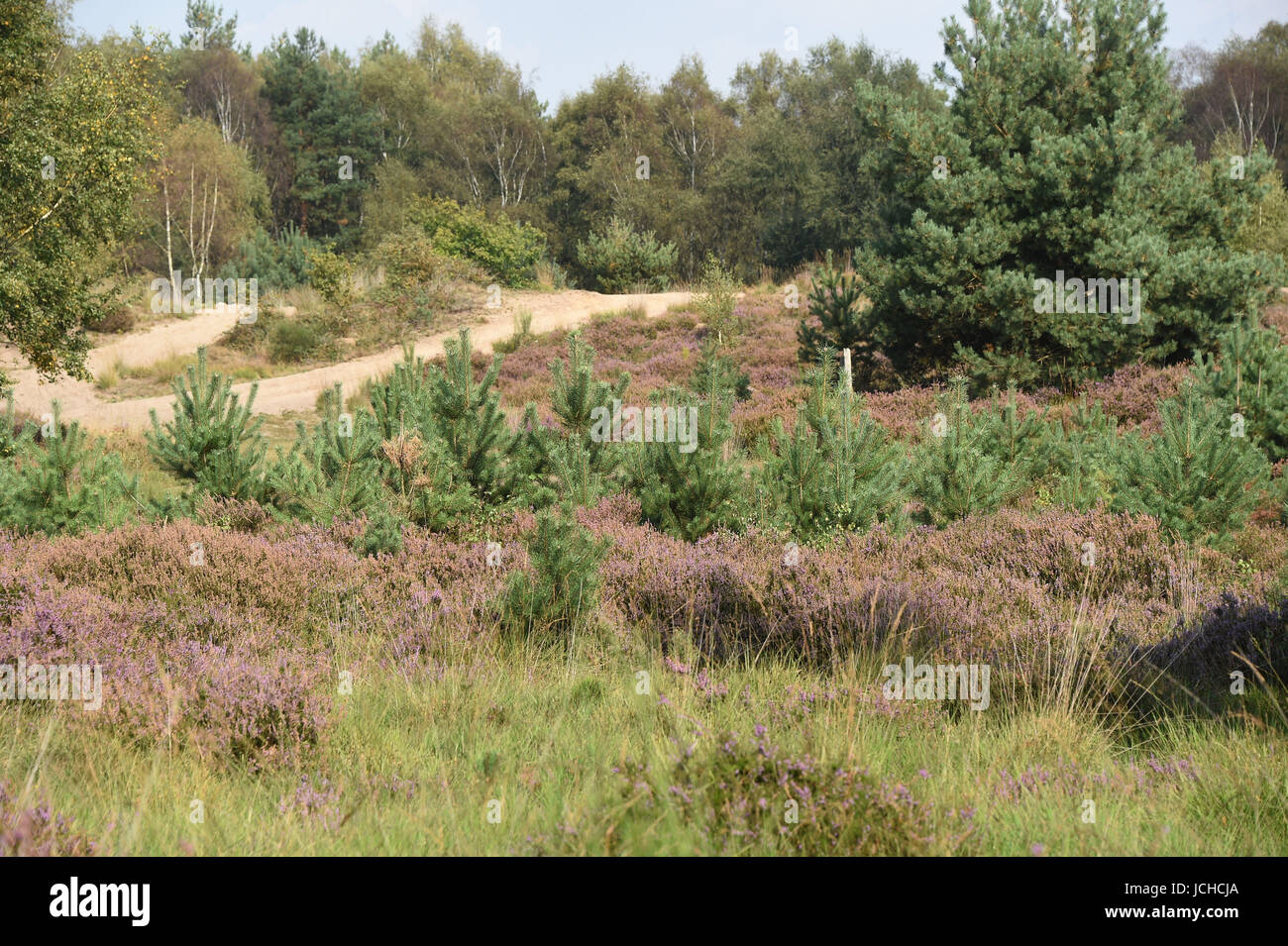 Nationales hi-res stock photography and images - Alamy