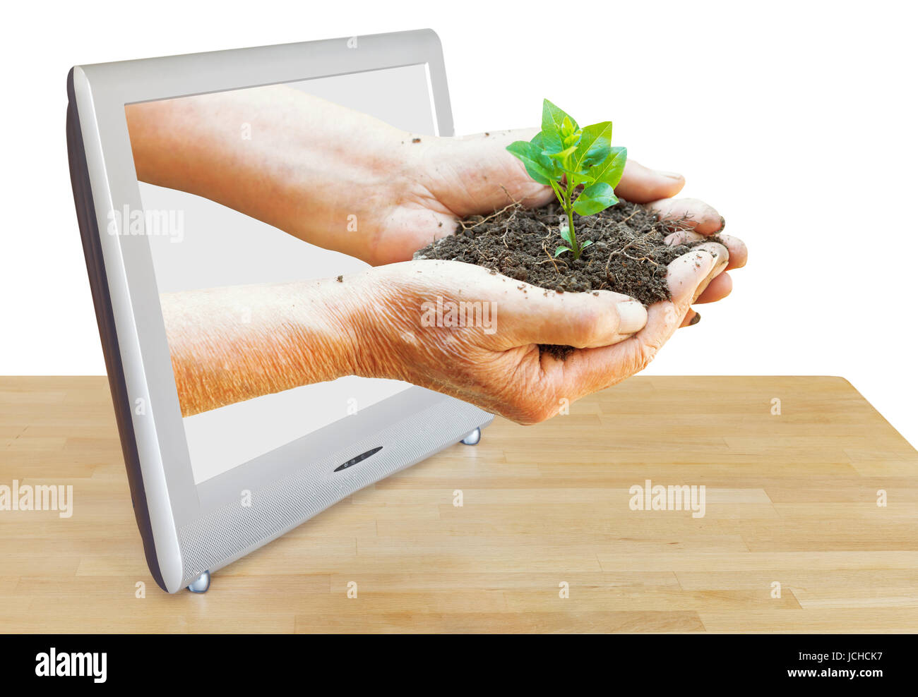 farmer hands holding handful of soil with plant leads out TV screen ...