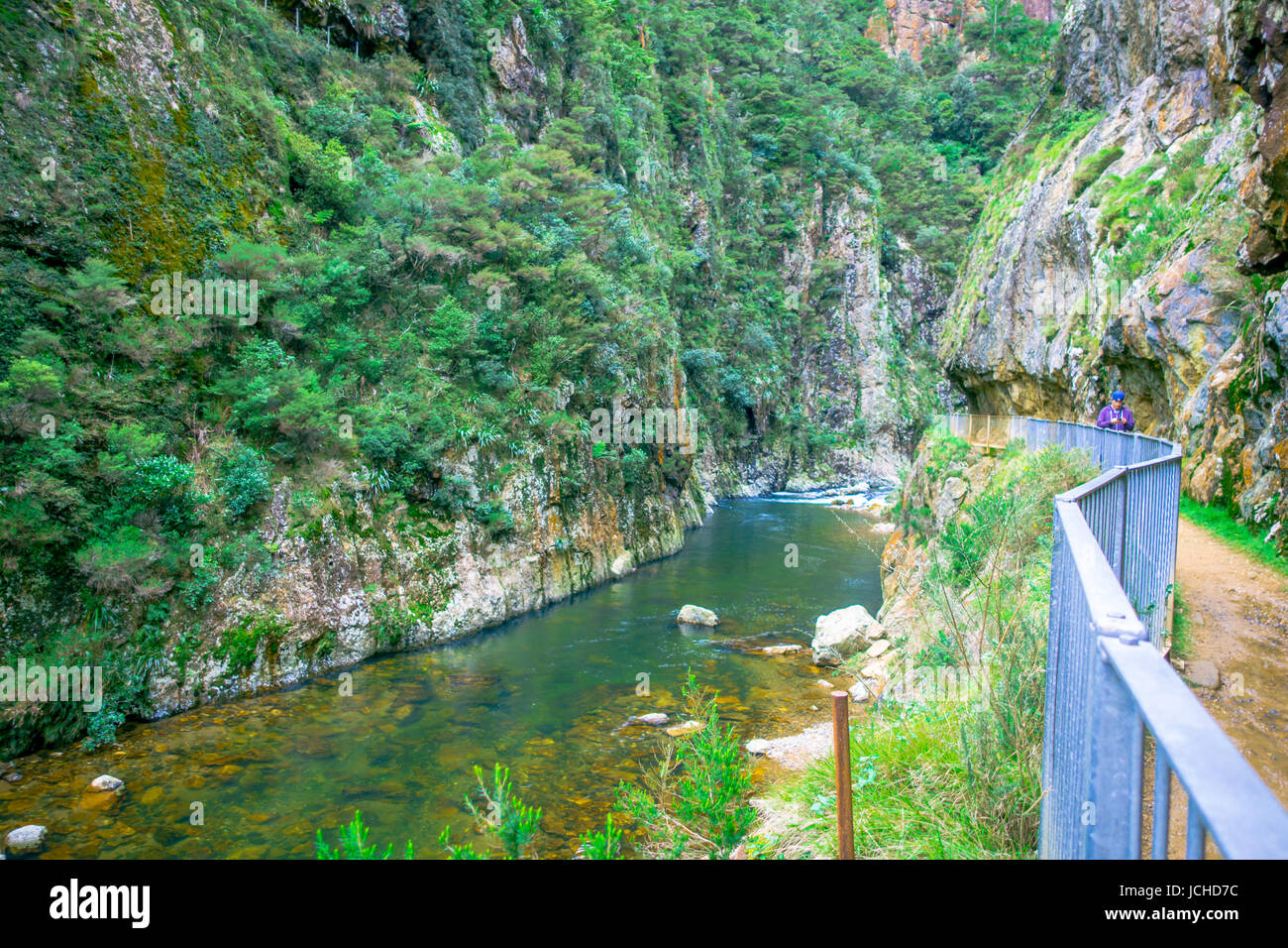 Coromandel ranges High Resolution Stock Photography and Images - Alamy