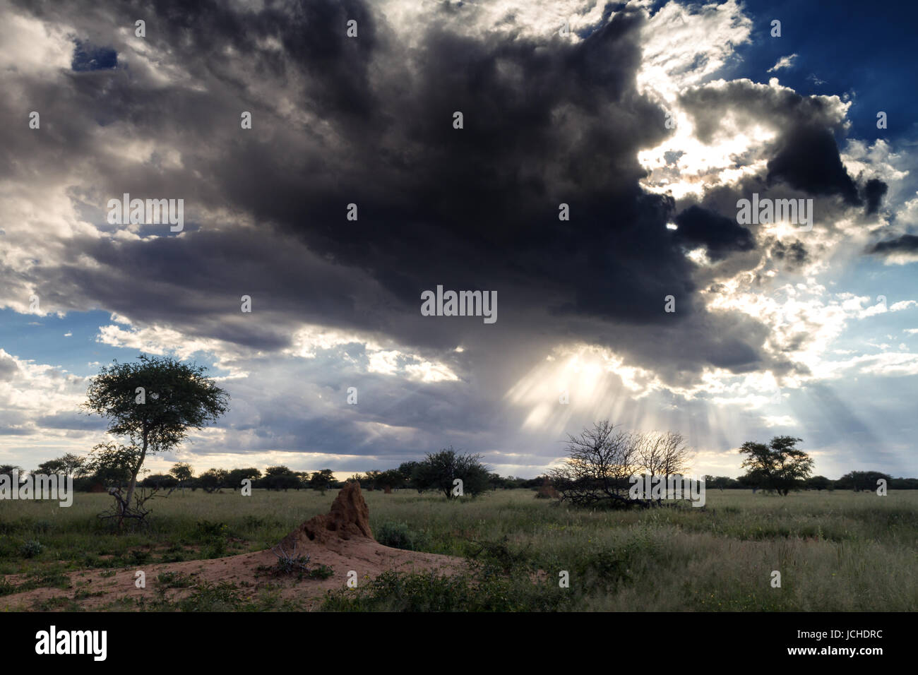 Namibian sun hi-res stock photography and images - Alamy