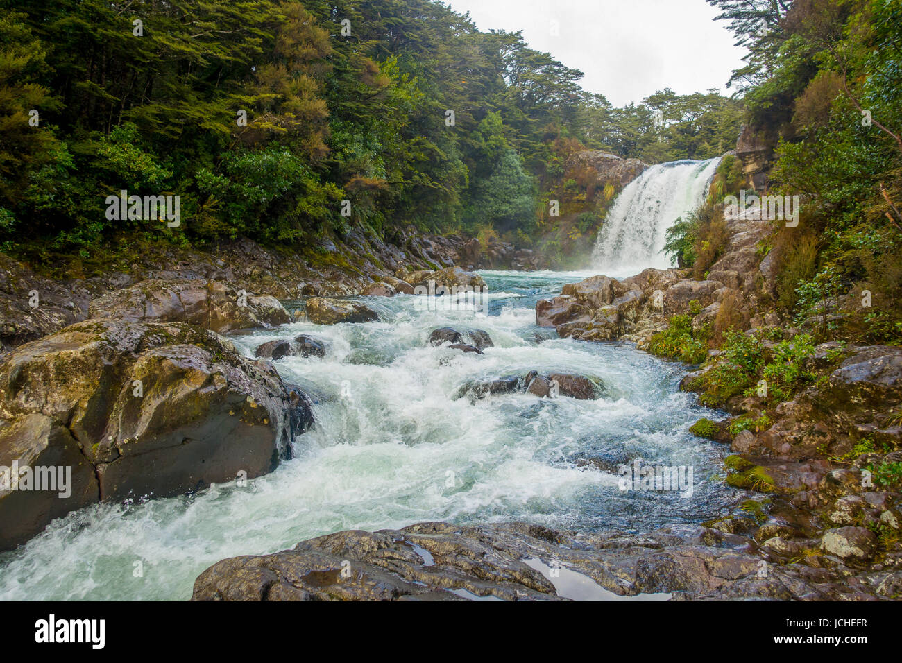 Tawhai Falls in Tongariro National Park, on the North Island, New ...