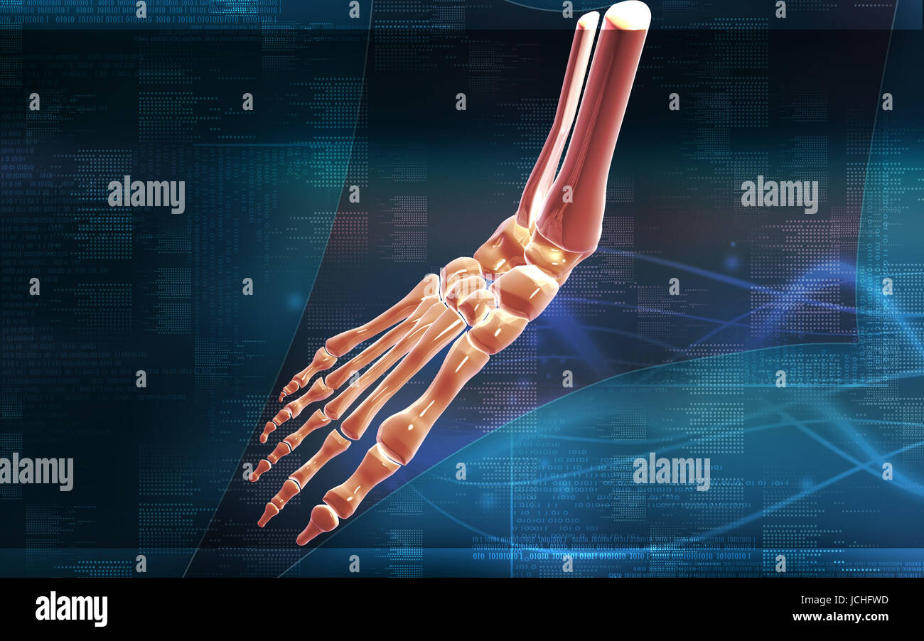 Computer Graphics Bone High Resolution Stock Photography and Images - Alamy