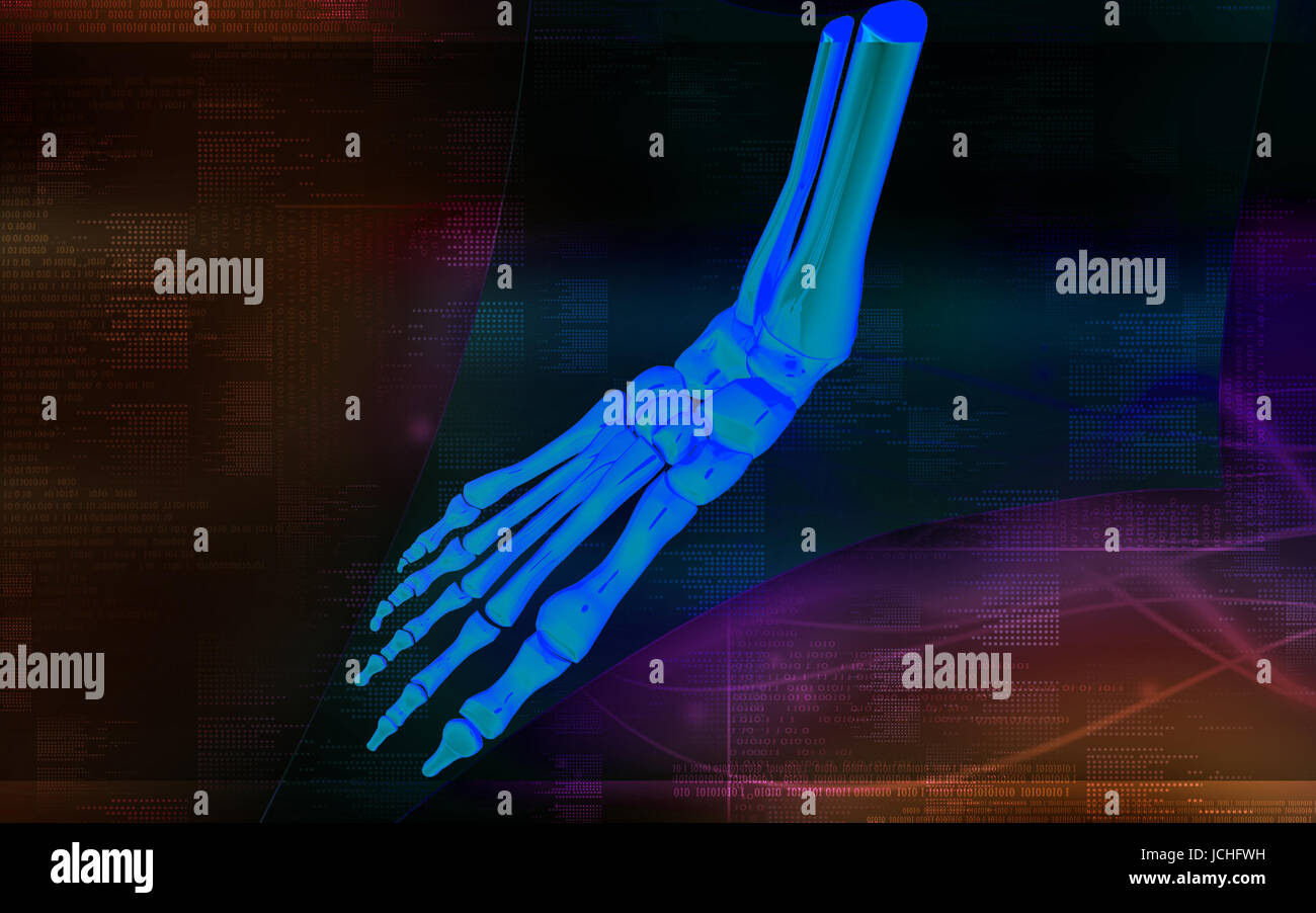 Computer Graphics Bone High Resolution Stock Photography and Images - Alamy