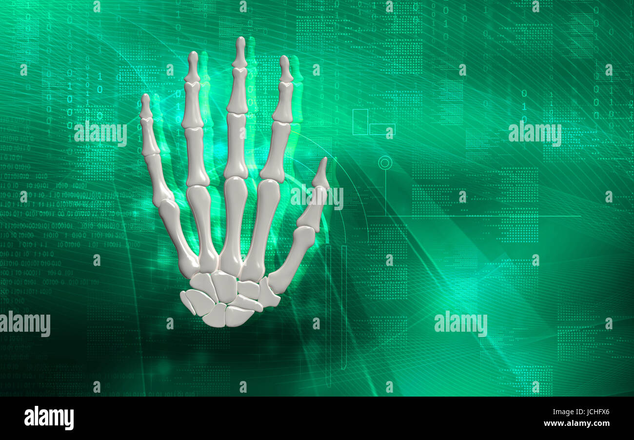 Digital medical illustration human wrist hi-res stock photography and ...
