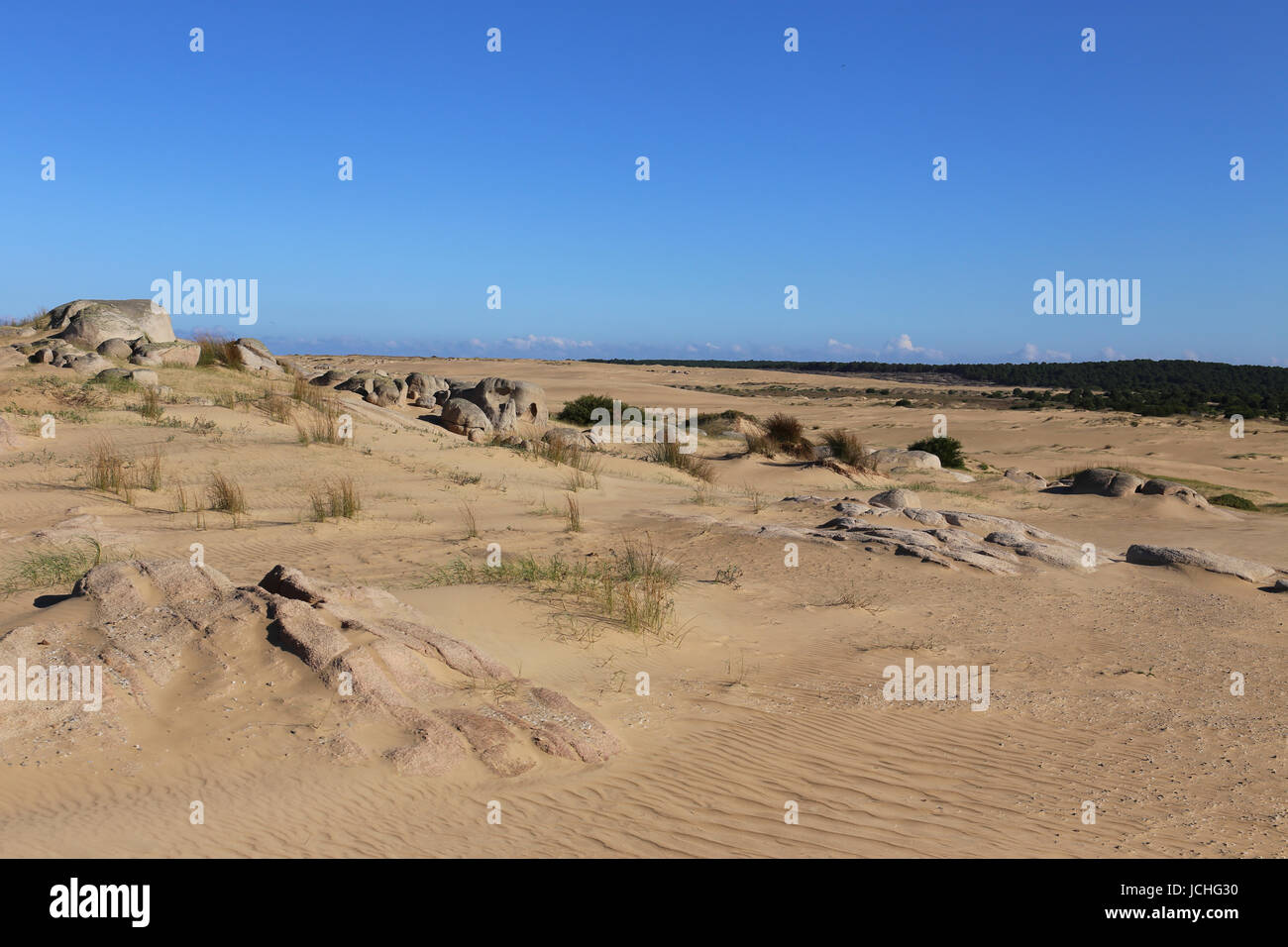 Dunes behind of Barra de Valizas - Uruguay Stock Photo - Alamy