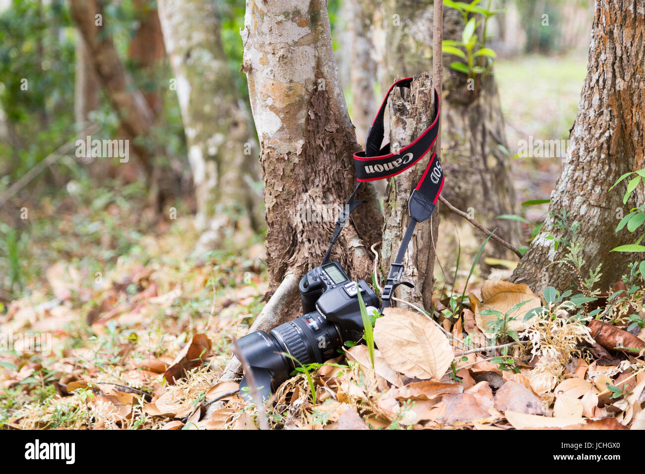 Canon 50d camera dropped on the ground in Trinidad, Cuba Stock Photo ...