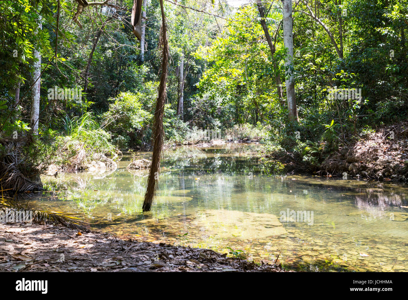 Cuba nature park hi-res stock photography and images - Alamy