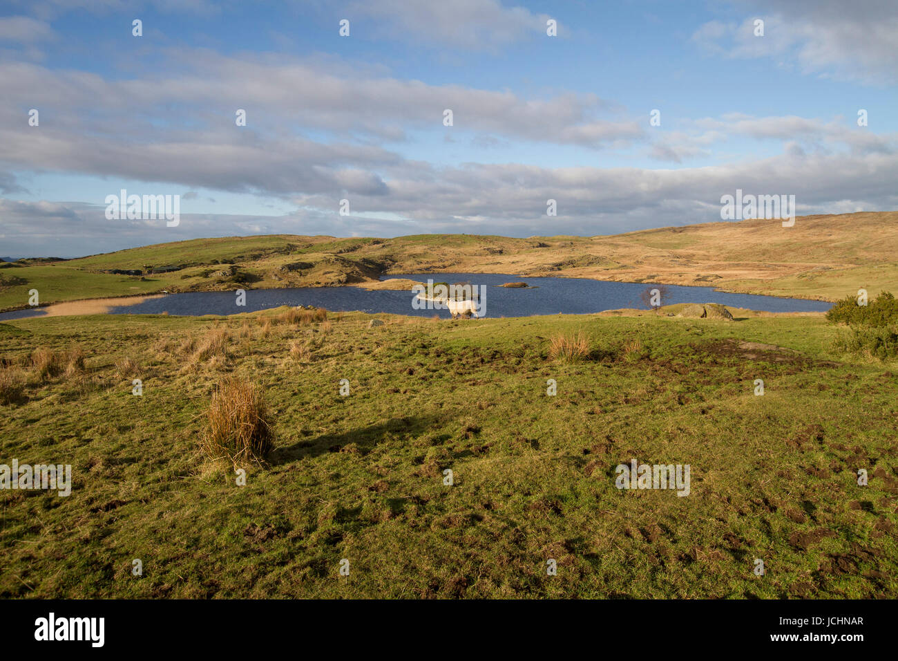 Cranagh antrim hi-res stock photography and images - Alamy