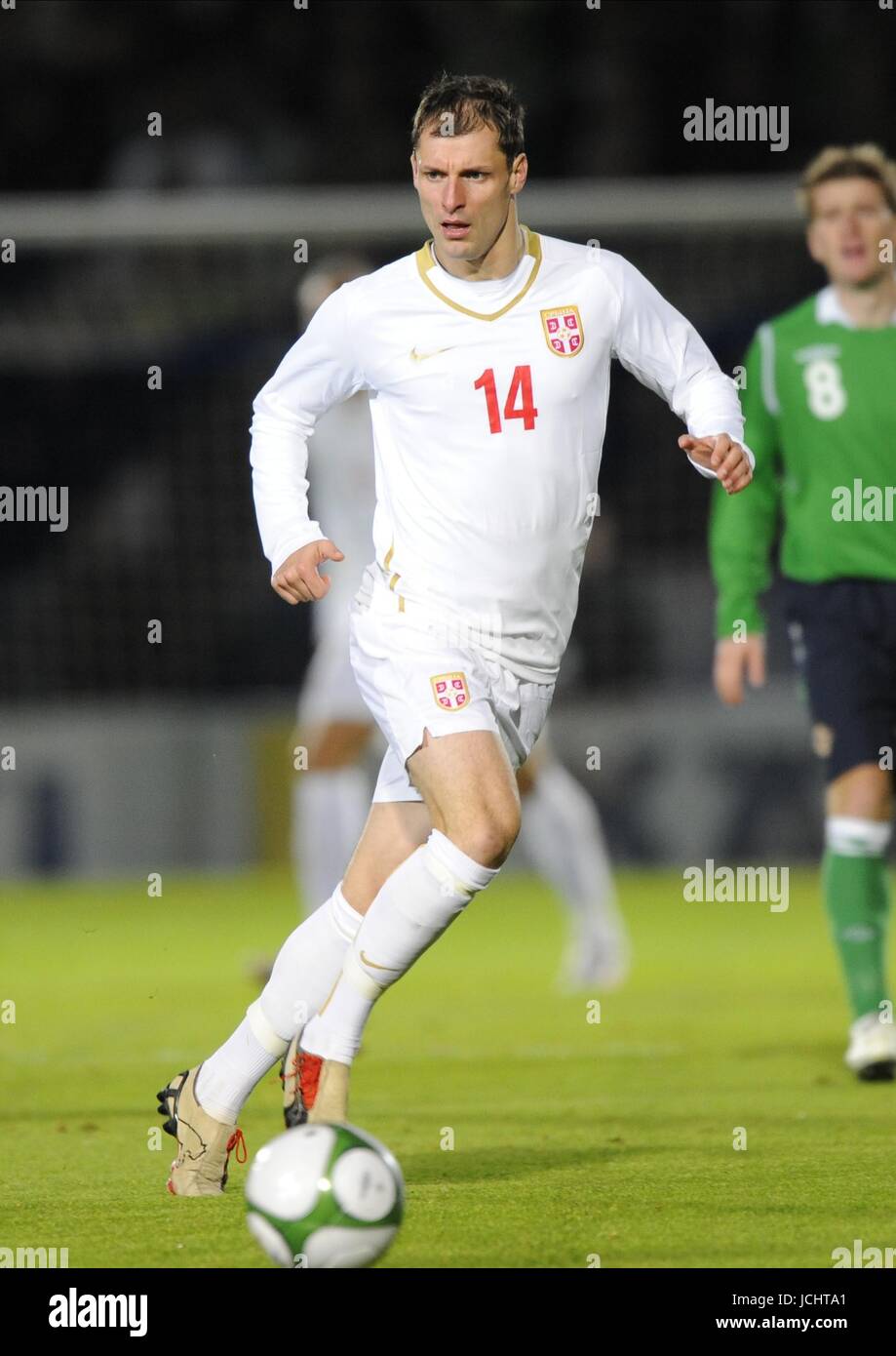 MILAN JOVANOVIC SERBIA NORTHERN IRELAND V SERBIA WINDSOR PARK, BELFAST ...