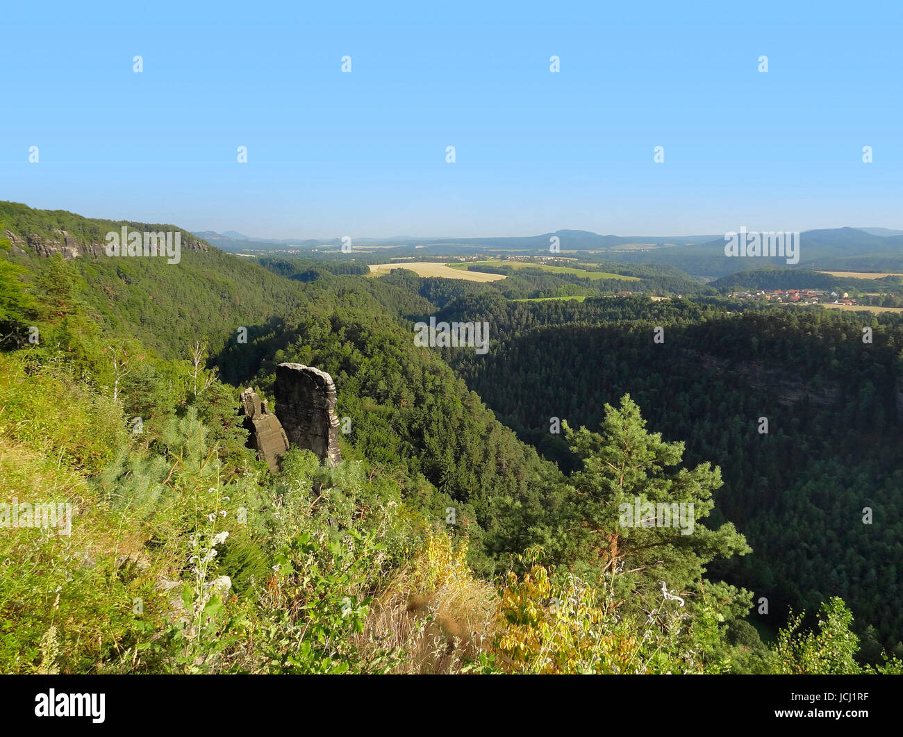 Naturraum wald hi-res stock photography and images - Alamy