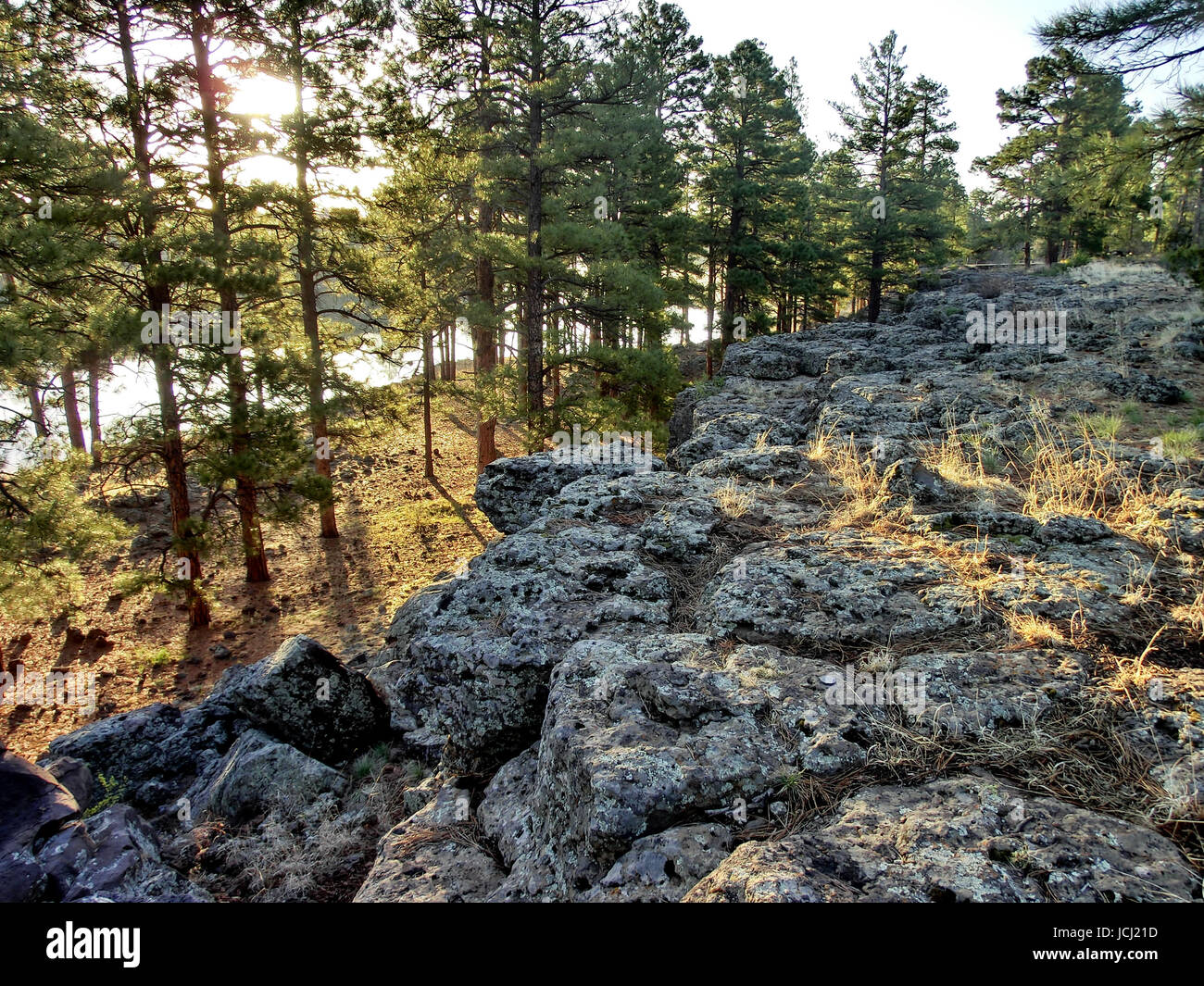 Show low arizona hi-res stock photography and images - Alamy