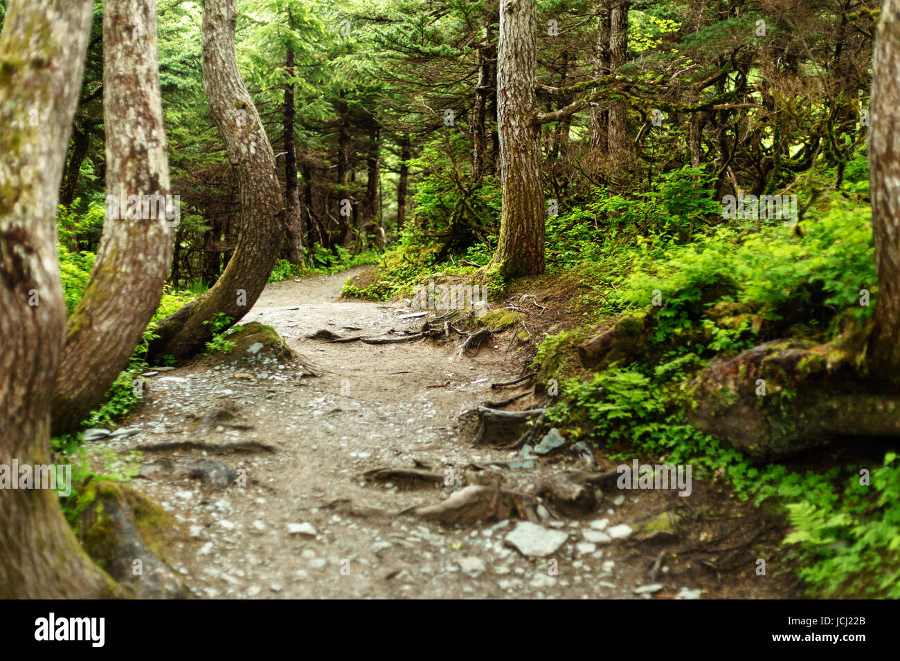 Lower Alpine loop train on Mount Roberts, Juneau, Alaska Stock Photo ...