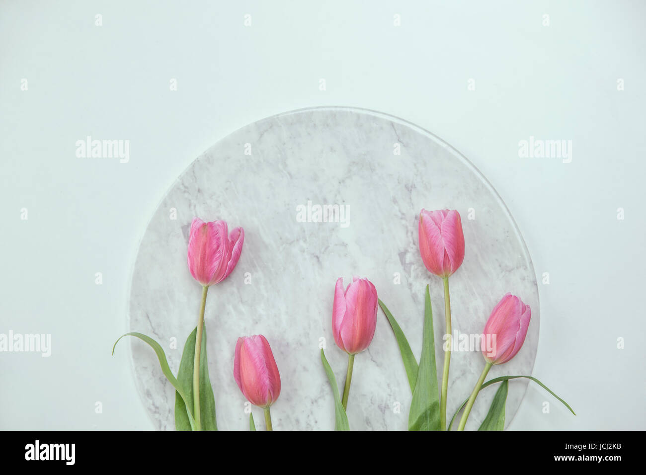 Circle of tulips hi-res stock photography and images - Alamy
