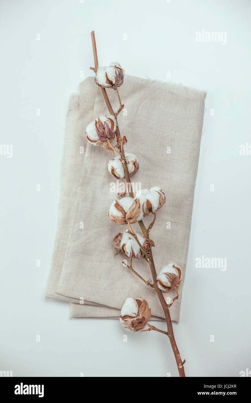 Cotton cloth hi-res stock photography and images - Alamy