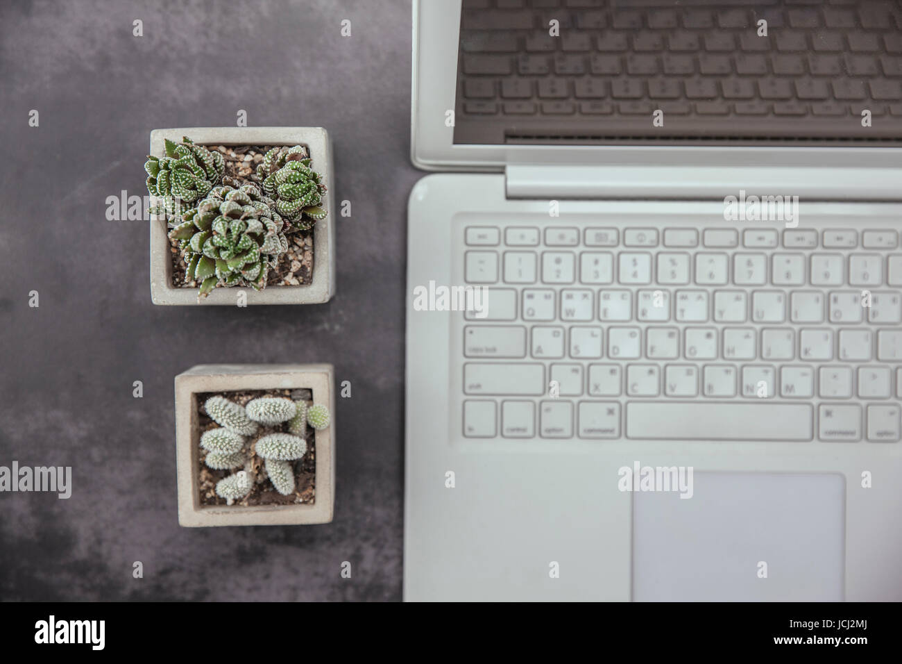 Vintage cactus pots hi-res stock photography and images - Alamy