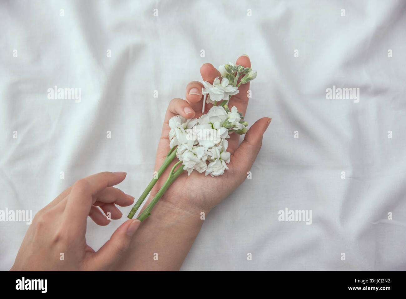 Hands holding white flowers and plants Stock Photo - Alamy