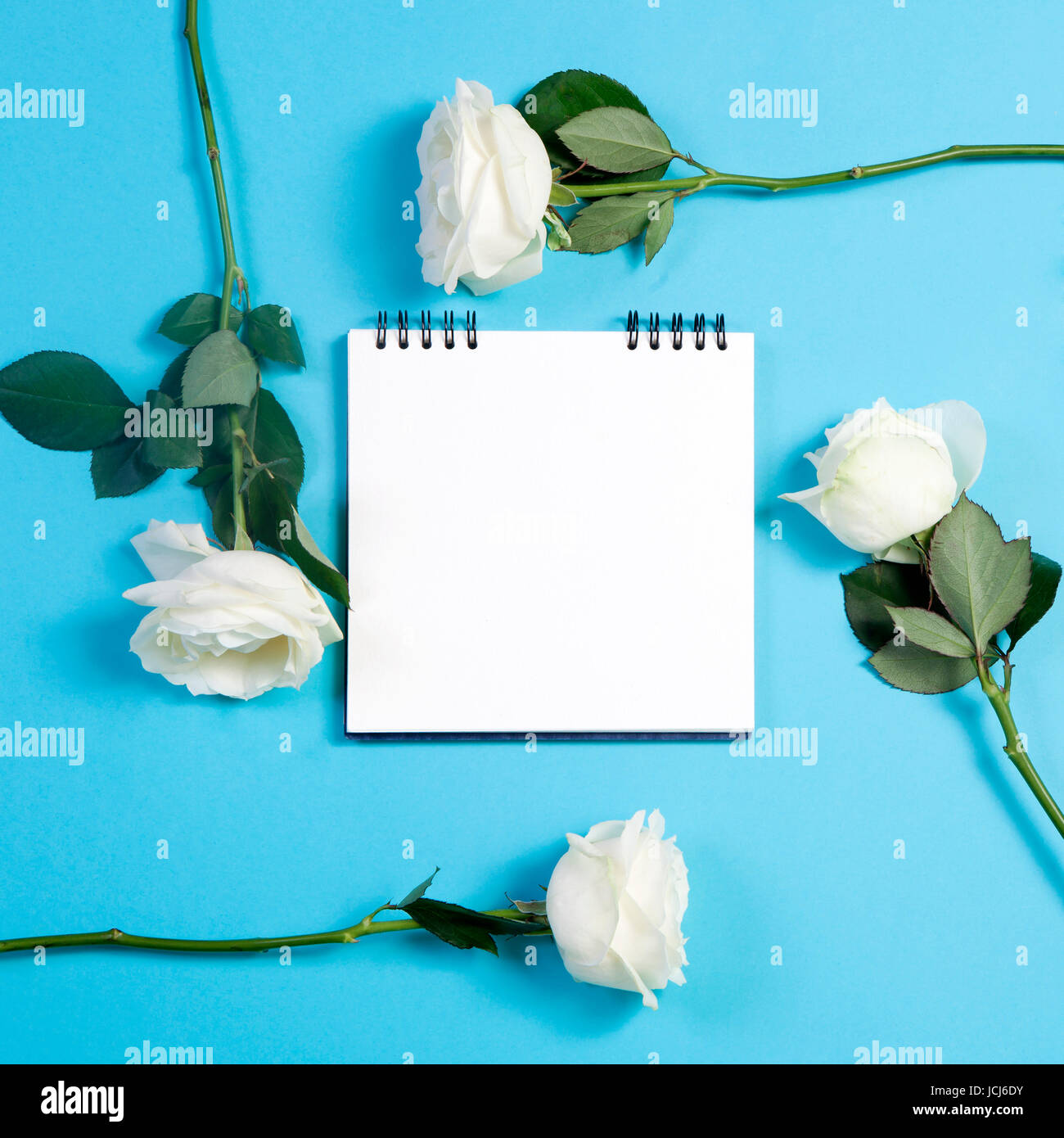A notebook on the springs with a white rose on a blue background with ...