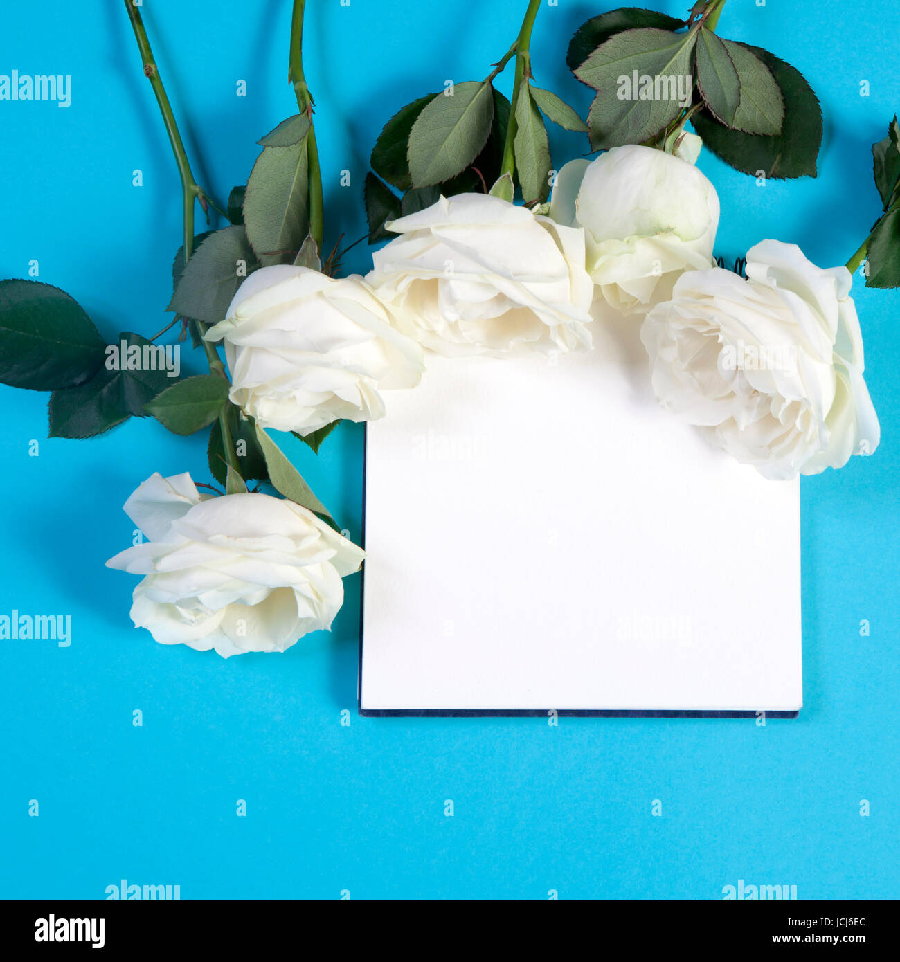A notebook on the springs with a white rose on a blue background with ...