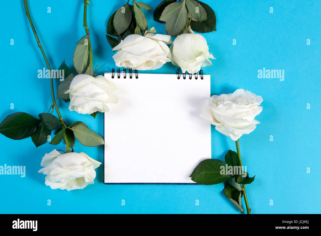 A notebook on the springs with a white rose on a blue background with ...