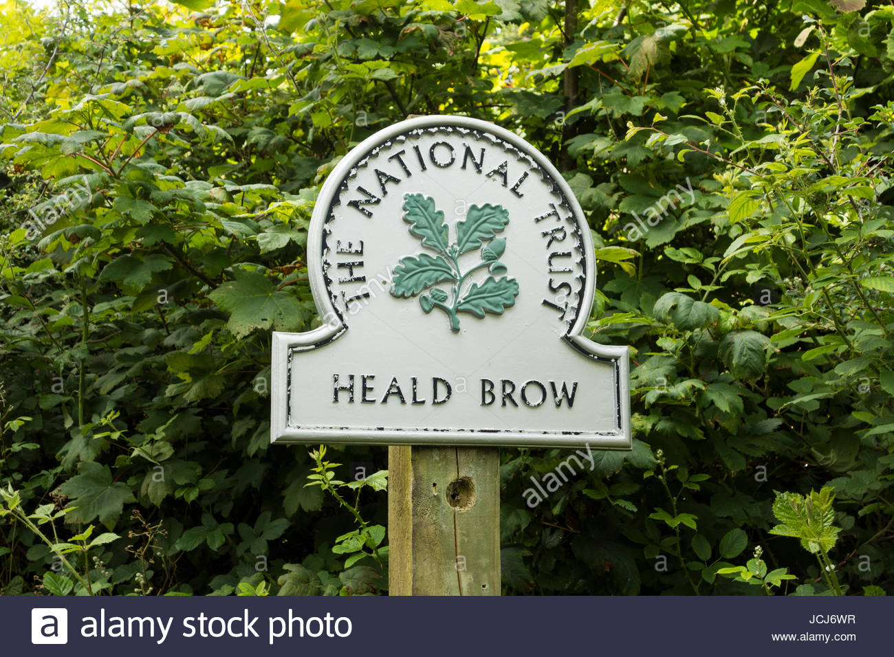 Heald High Resolution Stock Photography and Images - Alamy
