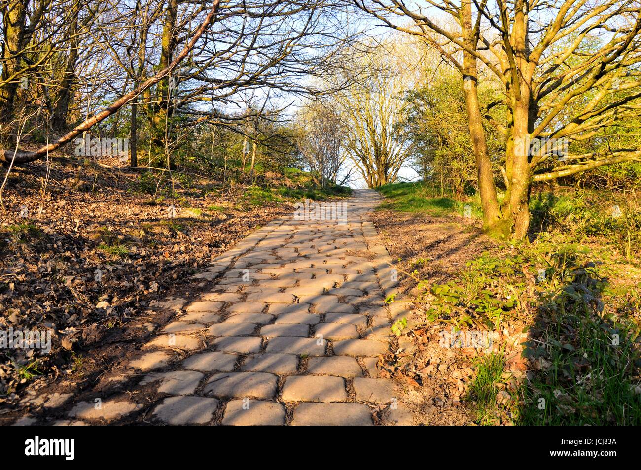 Cobbled pathway hi-res stock photography and images - Alamy
