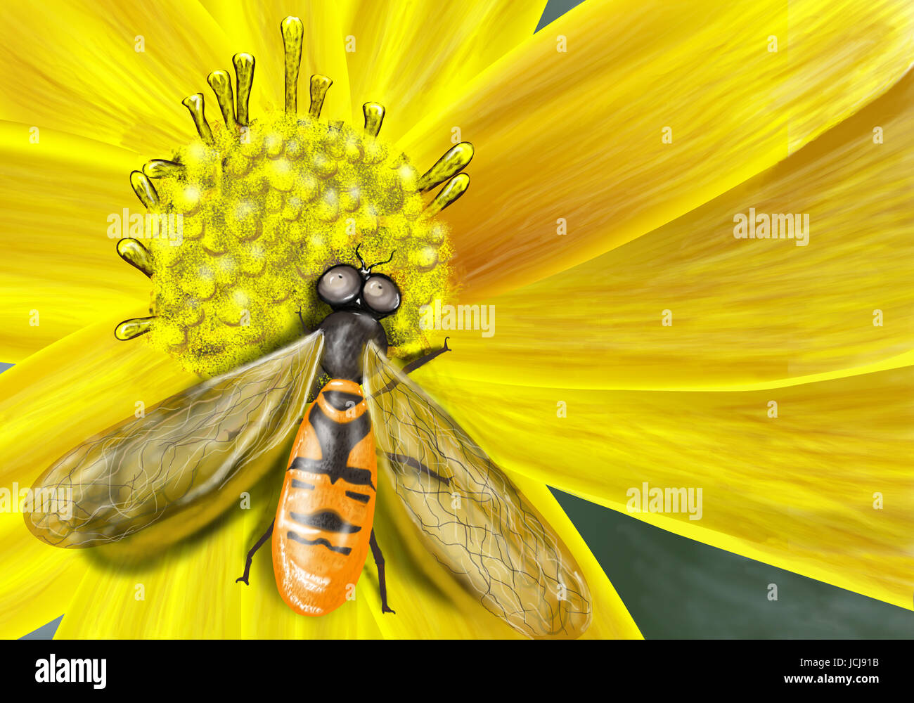 yellow flower and fly. close up of insect Stock Photo - Alamy