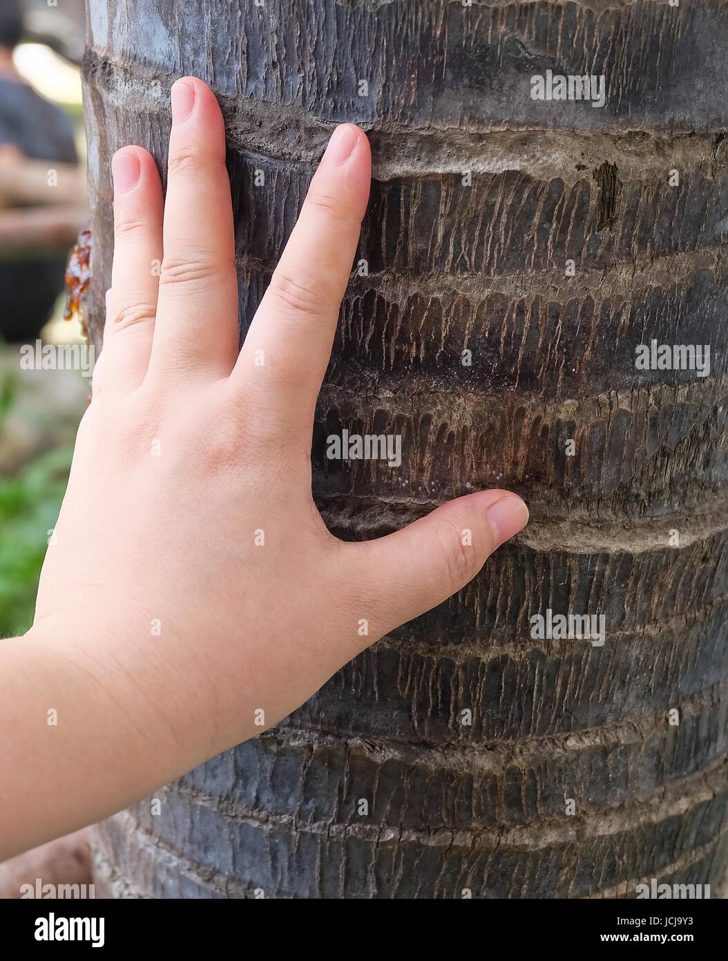 Ecology and Environment Concept, Close Up of Hand Touching Carefully ...
