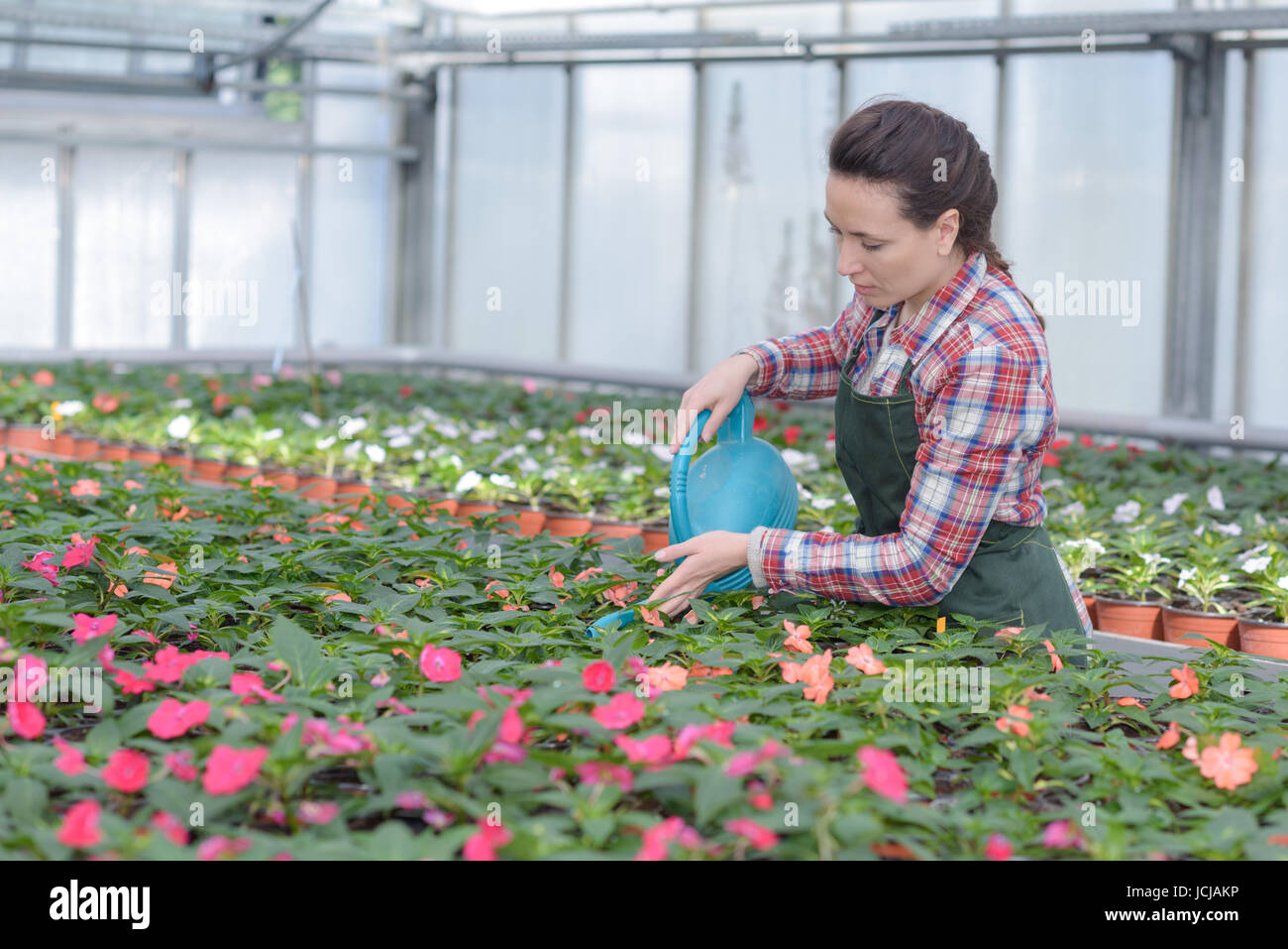 Female gardener watering plants hi-res stock photography and images - Alamy