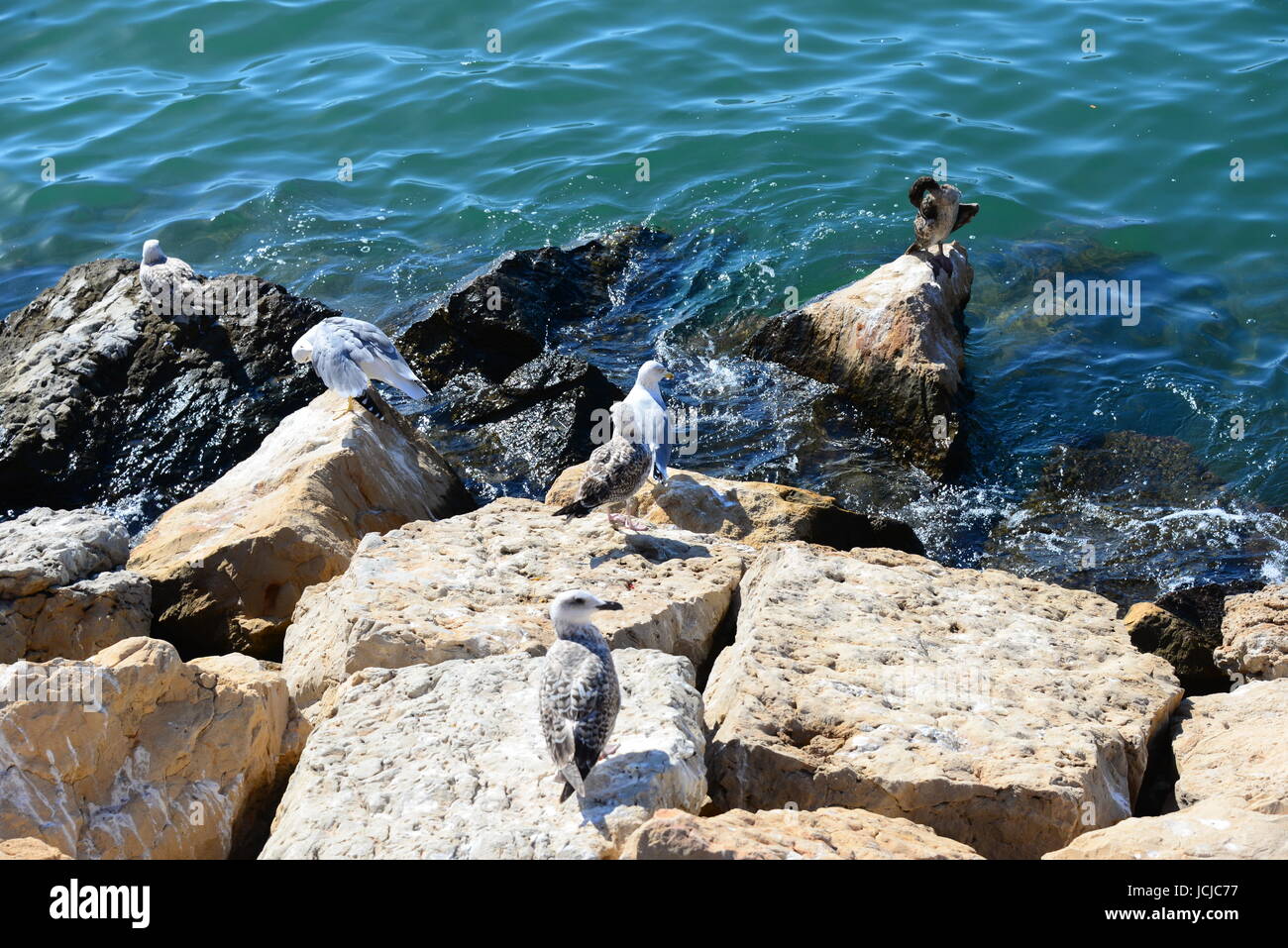 salt water sea Stock Photo - Alamy