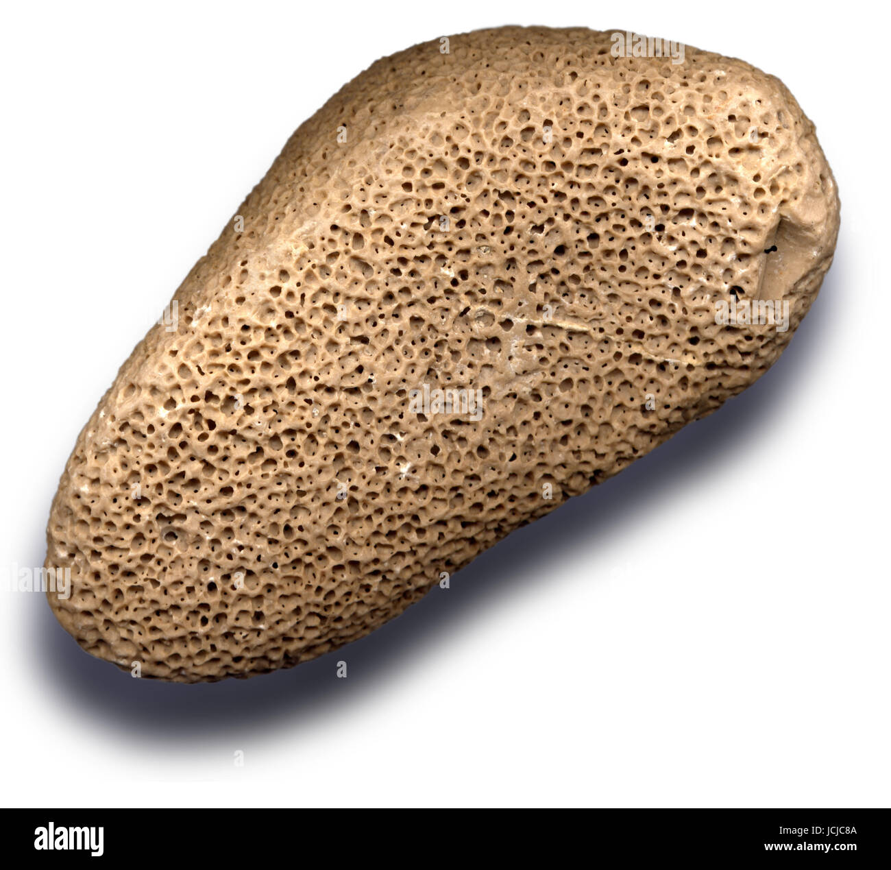 Pockmarked stone hi-res stock photography and images - Alamy