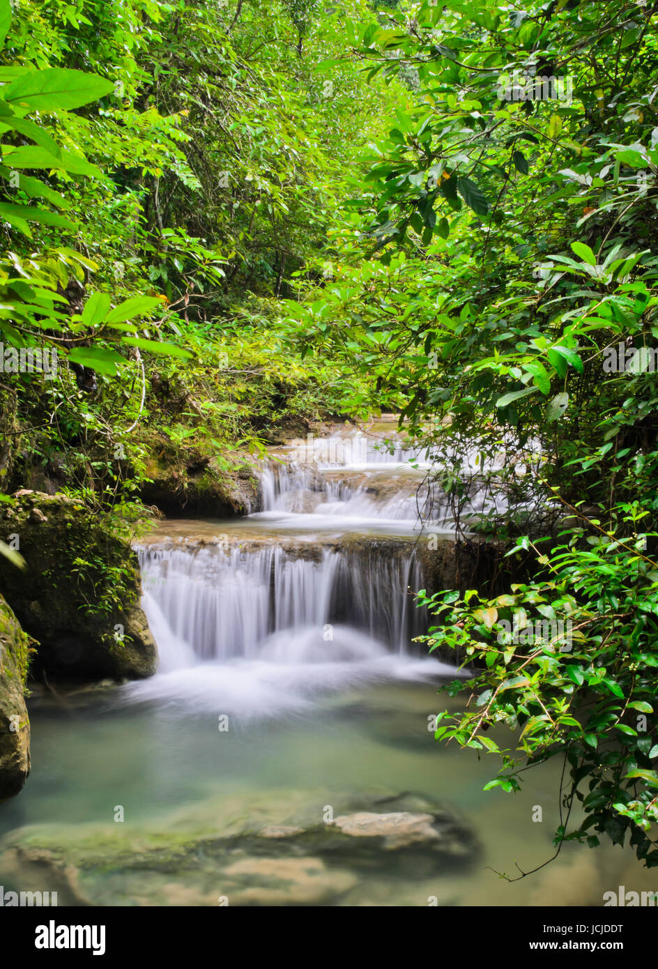 Environment enviroment wild waterfall hi-res stock photography and ...