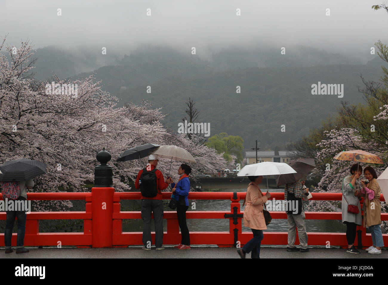 Bright red railings of a bridge over a canal in Kyoto where Japanese ...