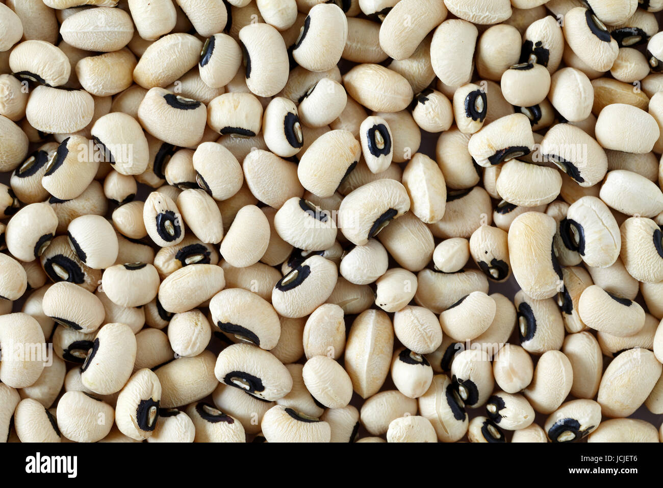Background of dried black-eyed beans or black-eyed peas or goat peas ...