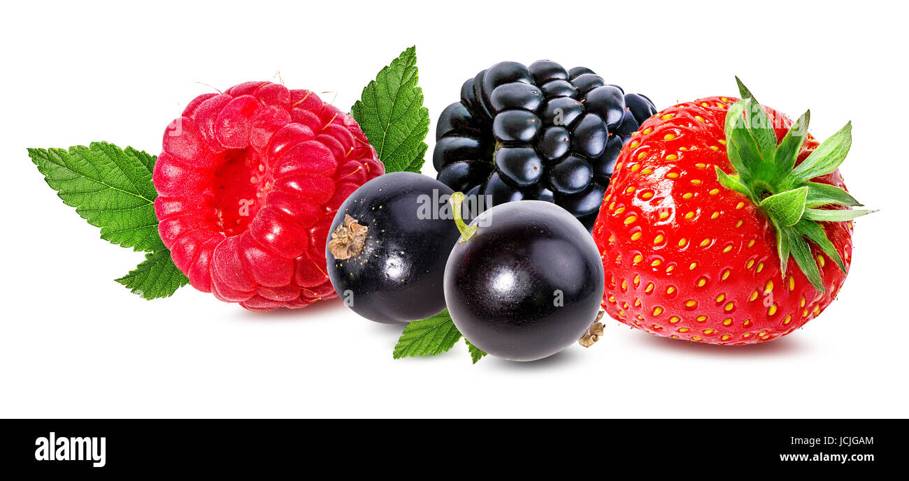 Currants leaf hi-res stock photography and images - Alamy