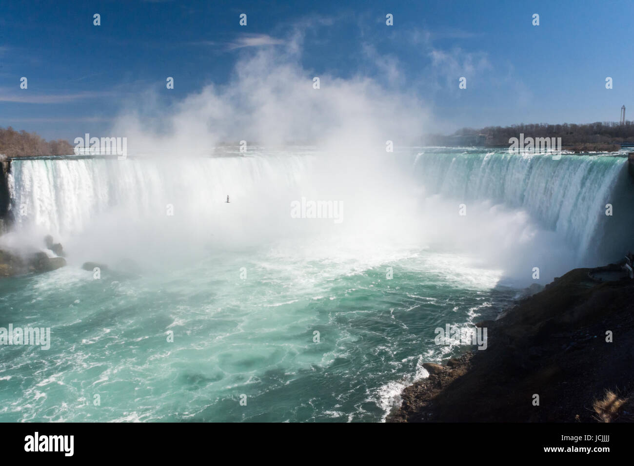 As tones of water go over Niagara's Horseshoe Falls, a seagull flies in ...