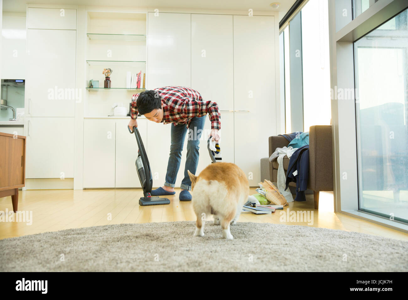 Cleaning your dog hi-res stock photography and images - Alamy