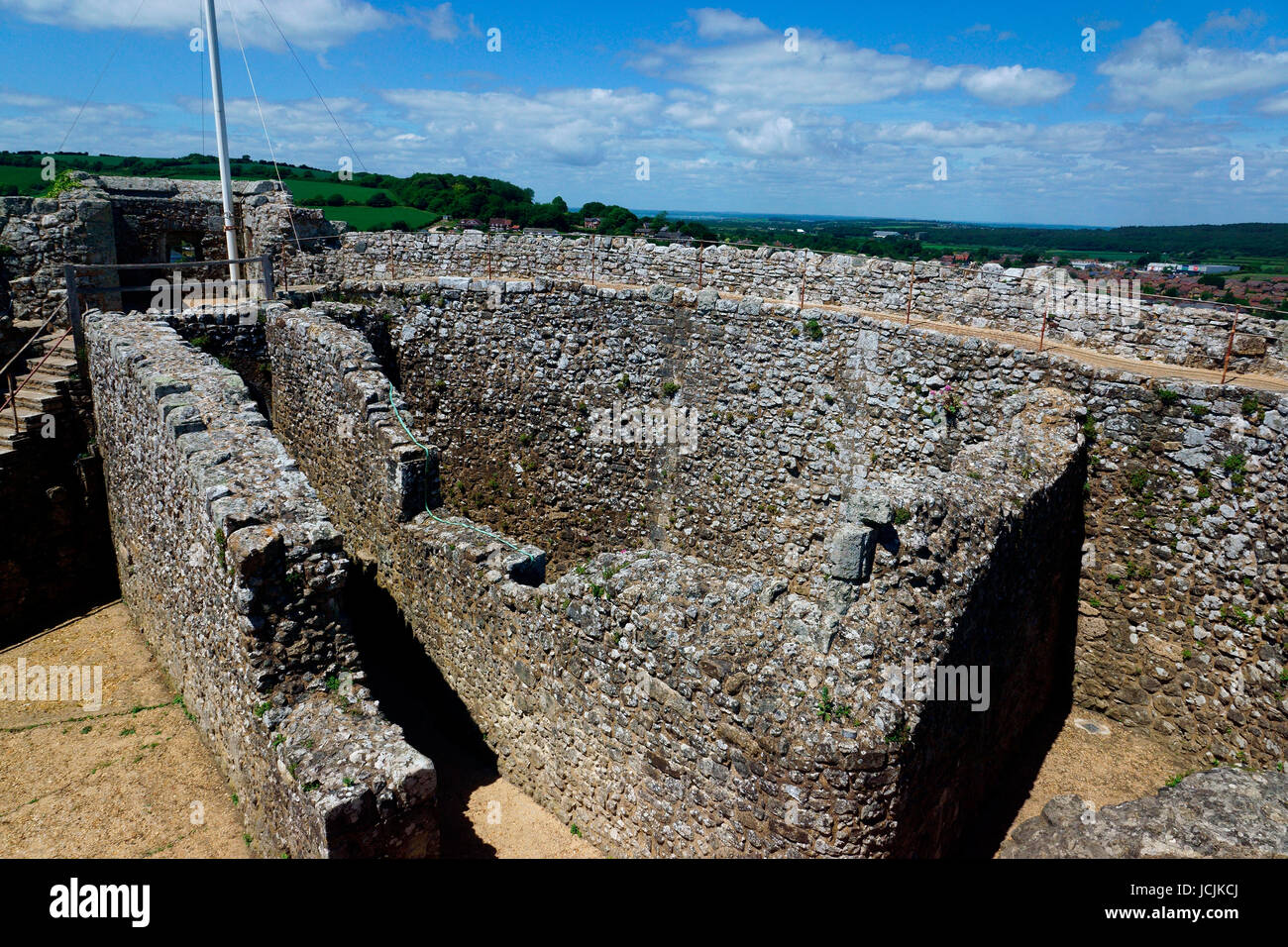 Thick top shell hi-res stock photography and images - Alamy