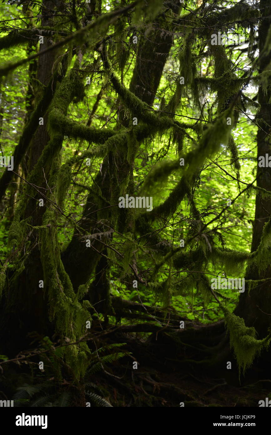 Environment landscapes hi-res stock photography and images - Alamy