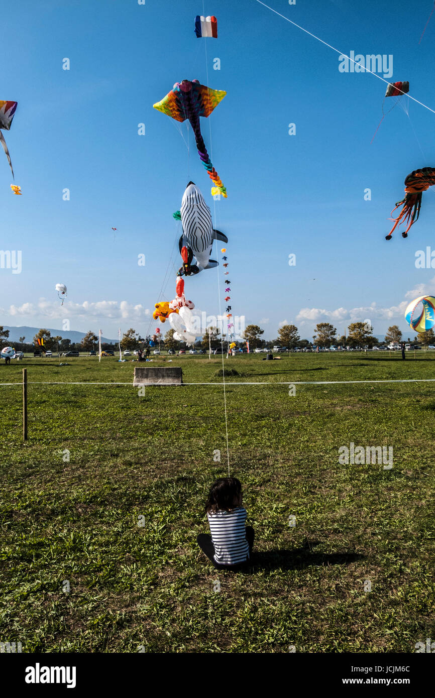 Kites competition hi-res stock photography and images - Alamy