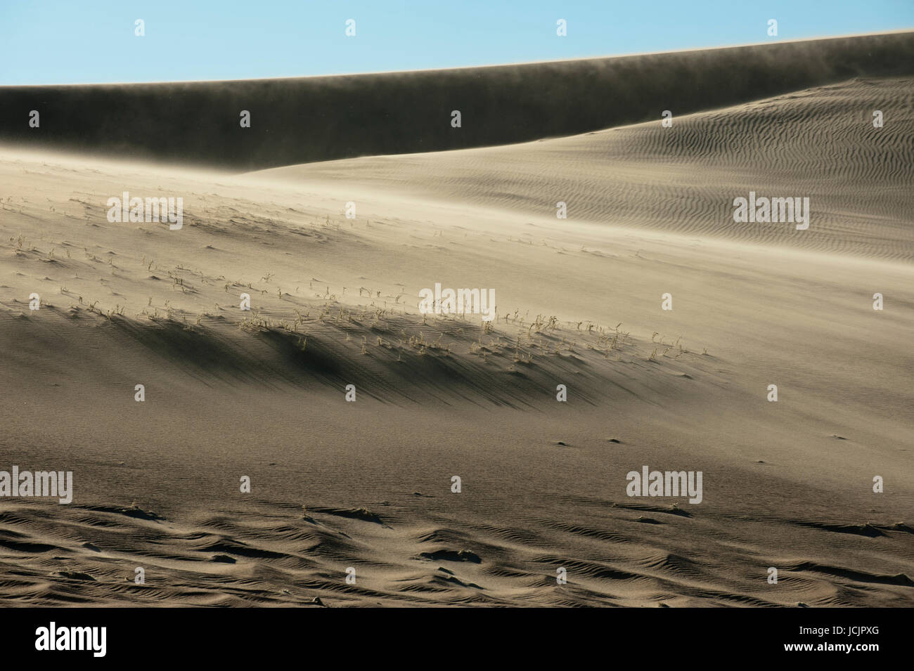 Wind on sand dunes, Skeleton Coast National Park, Namibia Stock Photo ...