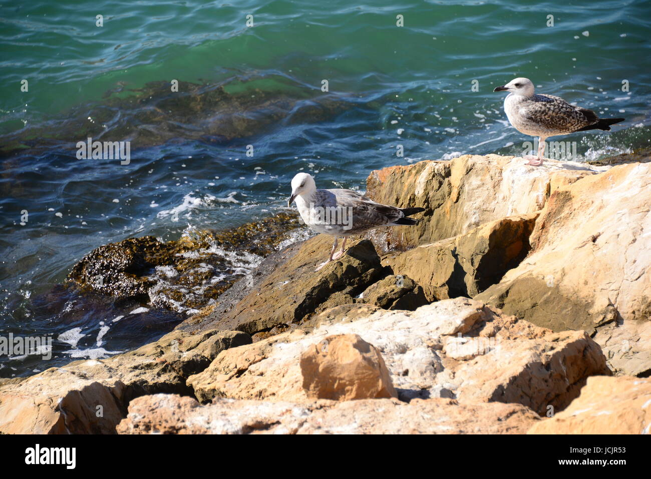 salt water sea Stock Photo - Alamy